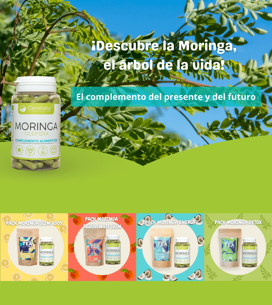 Porque el arbol de la Moringa se llama ÁRBOL DE LA VIDA? - Connatur